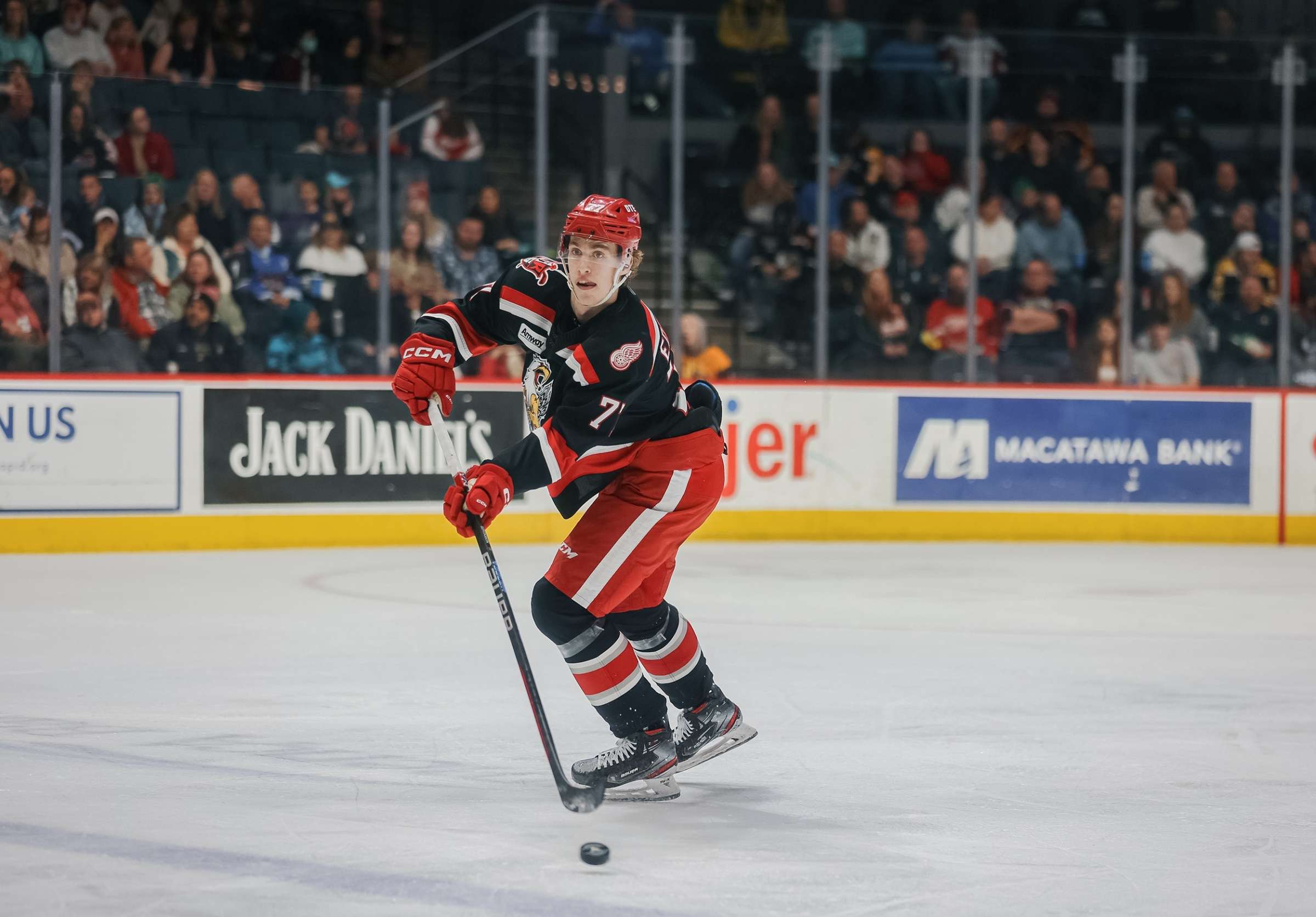 Grand Rapids Griffins | 2022-23 Player in Review: Simon Edvinsson