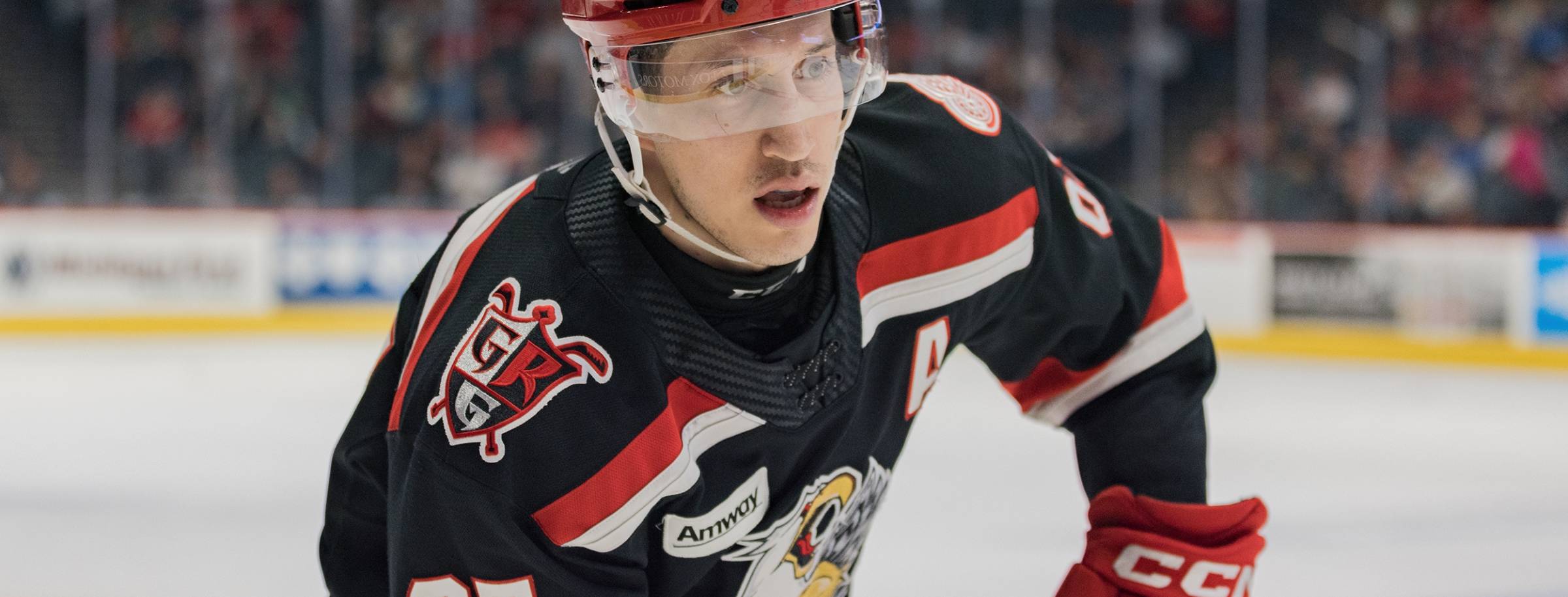 Grand Rapids Griffins | Dominik Shine Returns to Griffins