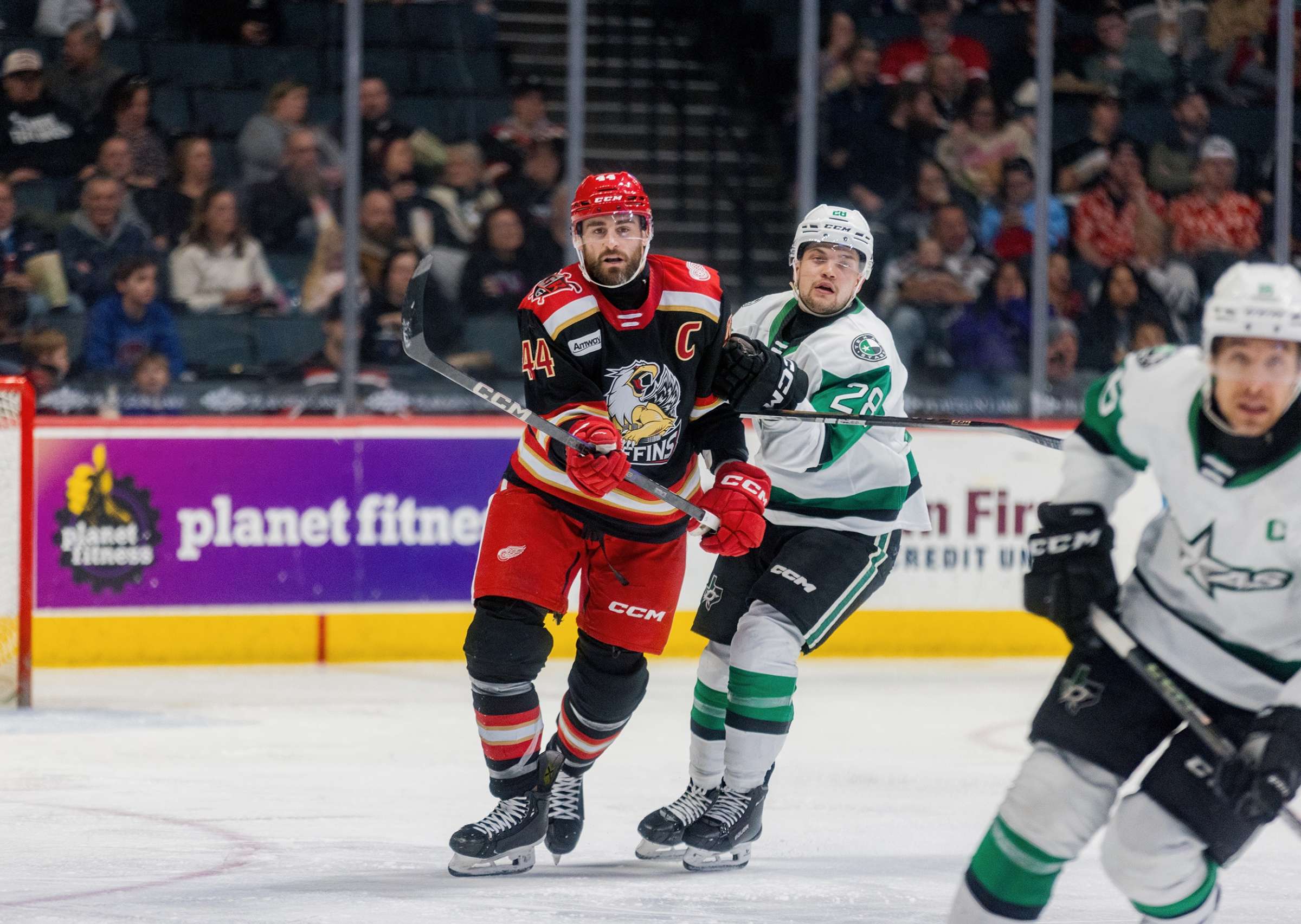 Grand Rapids Griffins | 2024-25 Player in Review: Josiah Didier