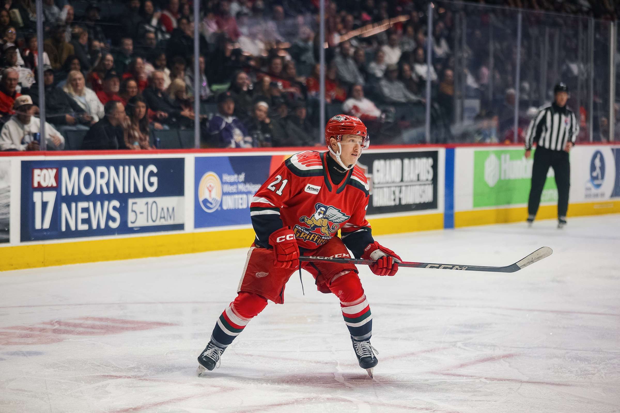 Grand Rapids Griffins | 2024-25 Player in Review: Joe Snively