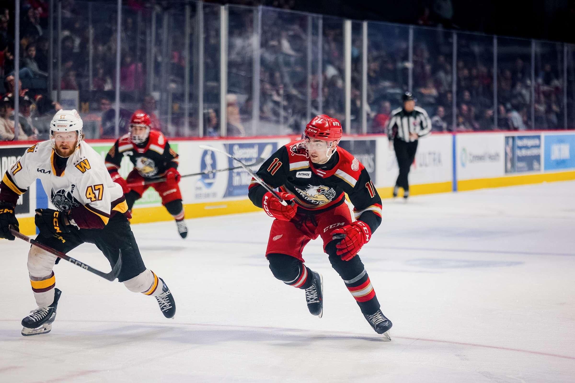 Grand Rapids Griffins | 2024-25 Player in Review: Gabriel Seger