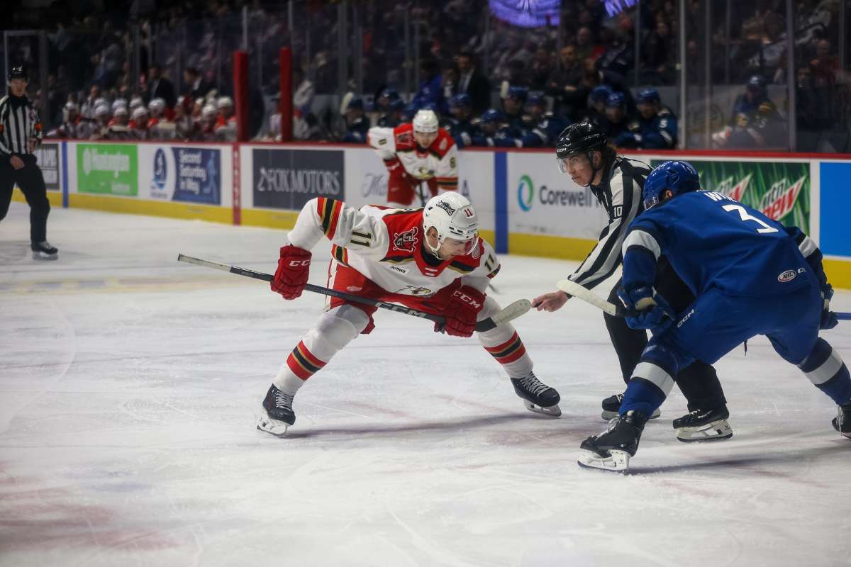 Grand Rapids Griffins | 2024-25 Player in Review: Gabriel Seger