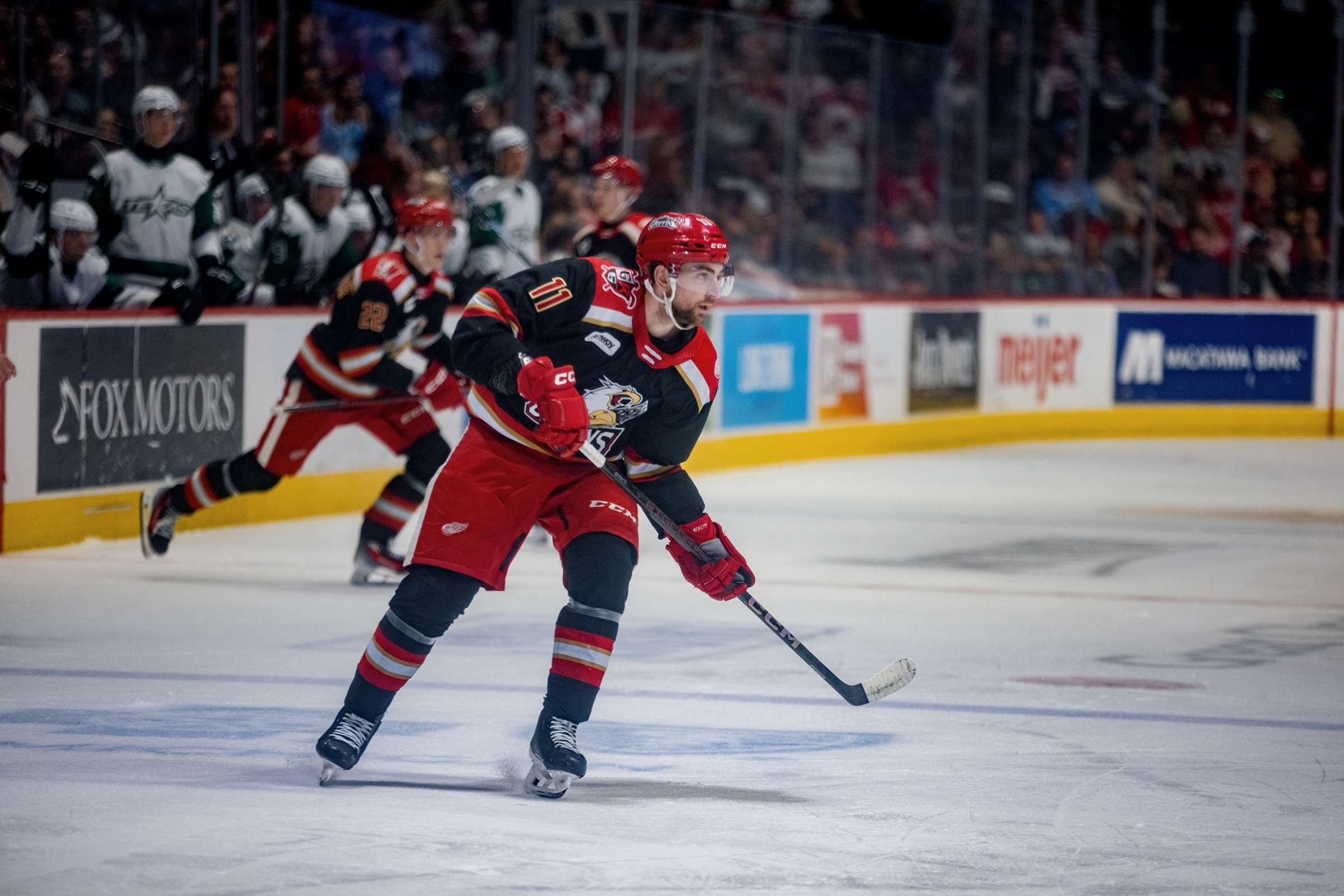 Grand Rapids Griffins | 2024-25 Player in Review: Gabriel Seger