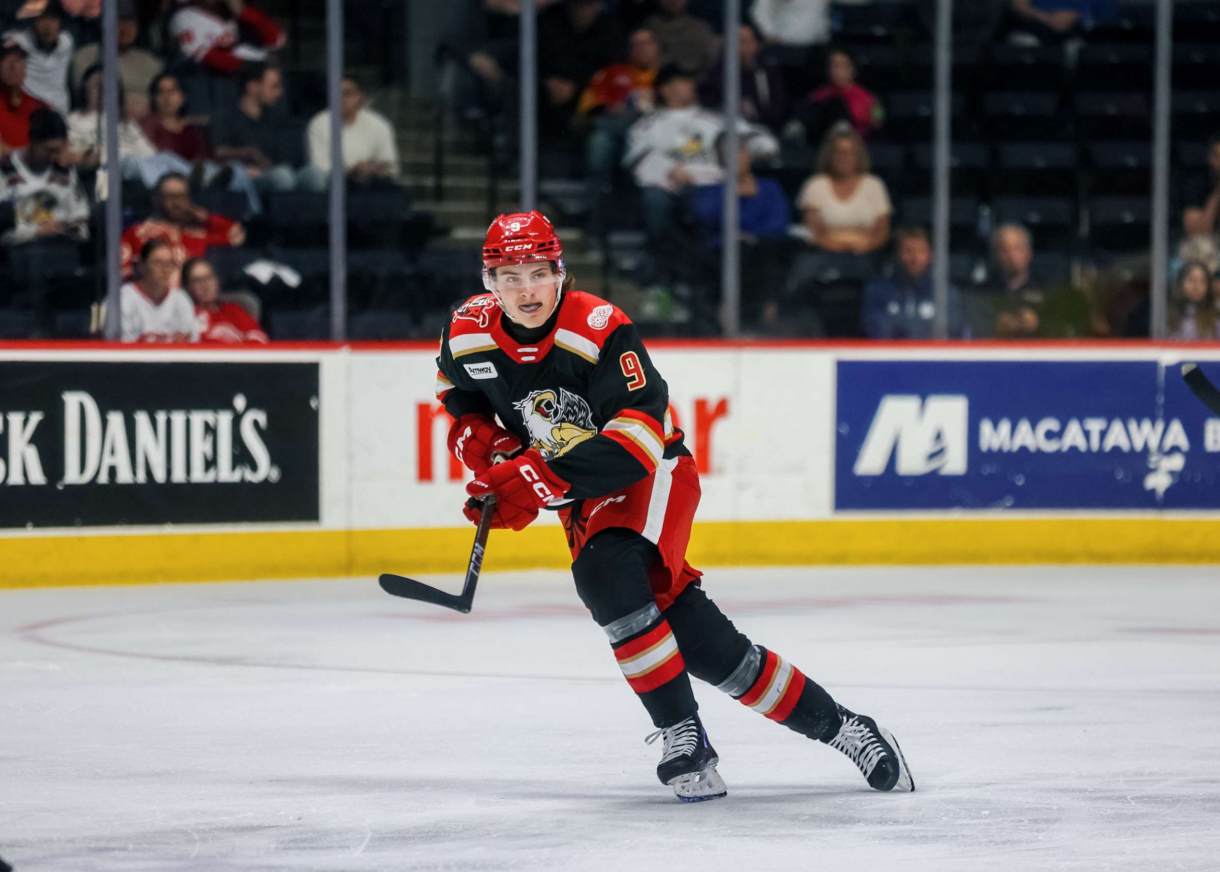Grand Rapids Griffins | 2024-25 Player in Review: Emmitt Finnie
