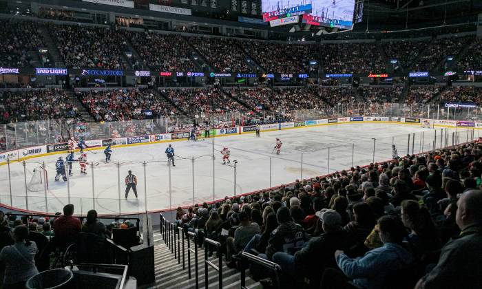 Grand Rapids Griffins | Homepage