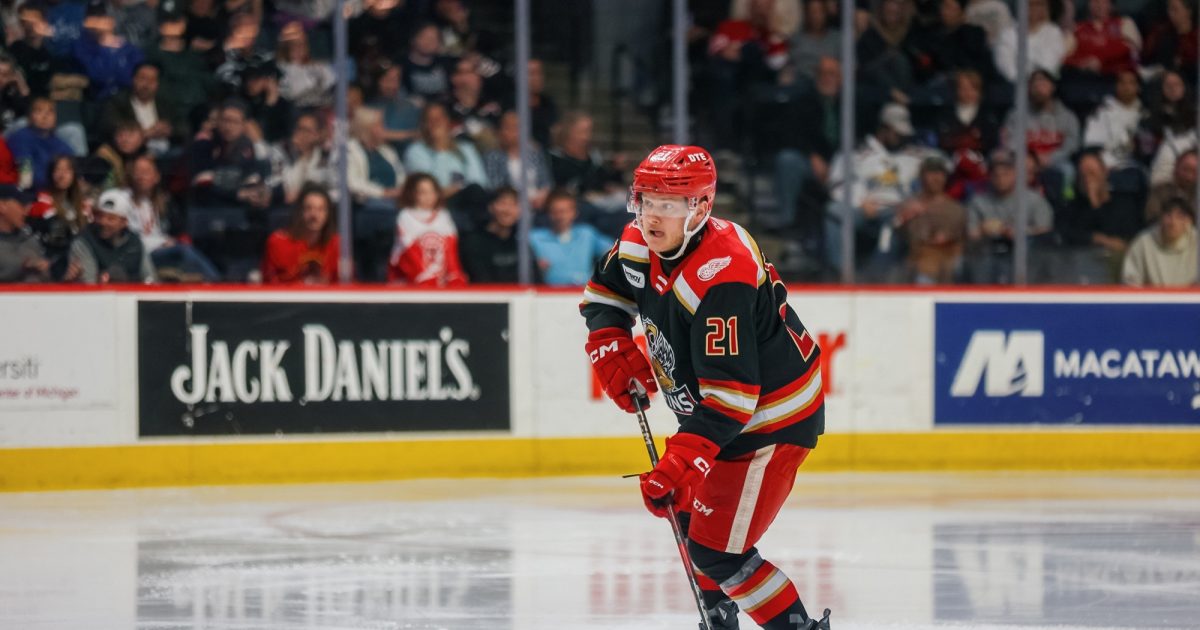 Grand Rapids Griffins | 2024-25 Player in Review: Joe Snively