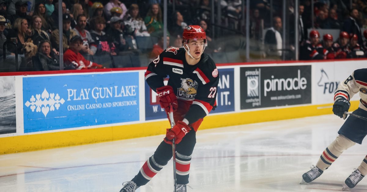 Grand Rapids Griffins | 2023-24 Player in Review: William Wallinder