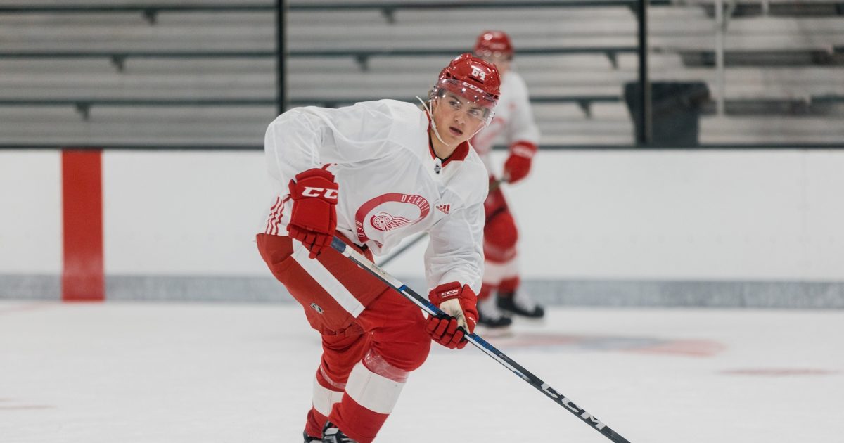 Grand Rapids Griffins | Griffins Sign Forward Emmitt Finnie to ATO