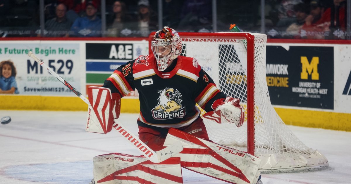Grand Rapids Griffins | 2024-25 Player in Review: Jan Bednar