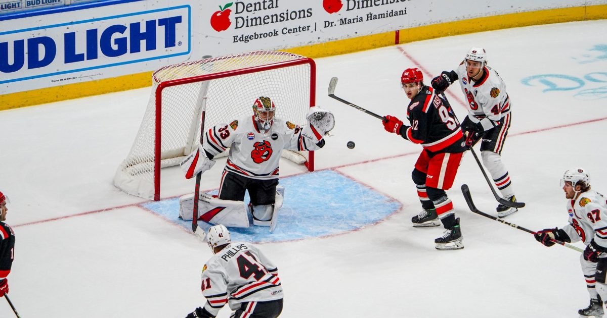 Grand Rapids Griffins | Puck Hogs