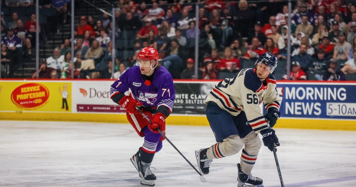 Grand Rapids Griffins | Ice in the Veins