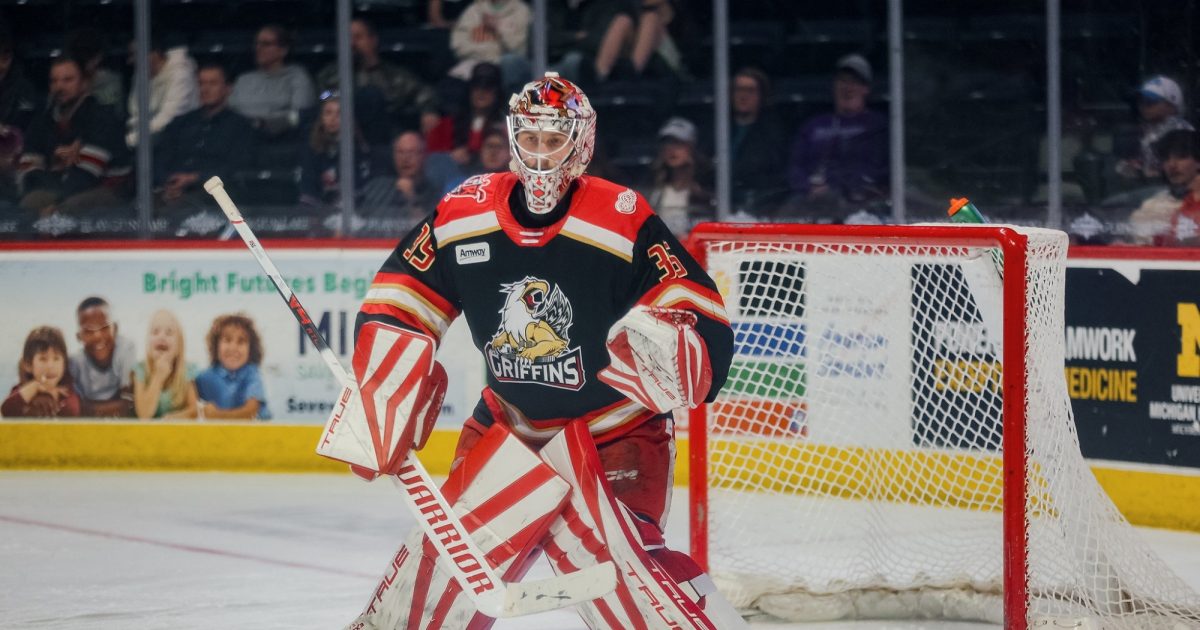 Grand Rapids Griffins | Griffins Reassign Jan Bednar to Toledo