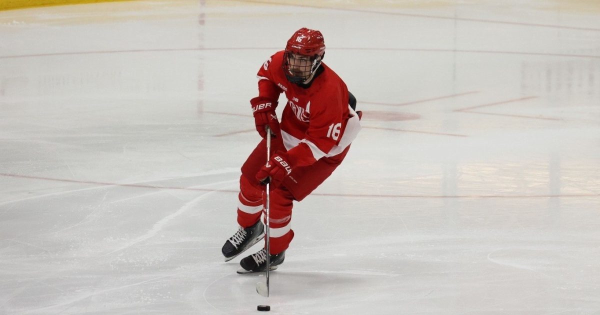 Grand Rapids Griffins | Griffins Ink Gabriel Seger to One-Year…