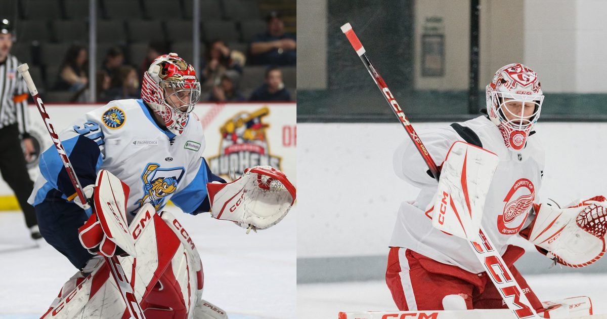 Grand Rapids Griffins | Griffins Recall Bednar, Alexander Reassigned…