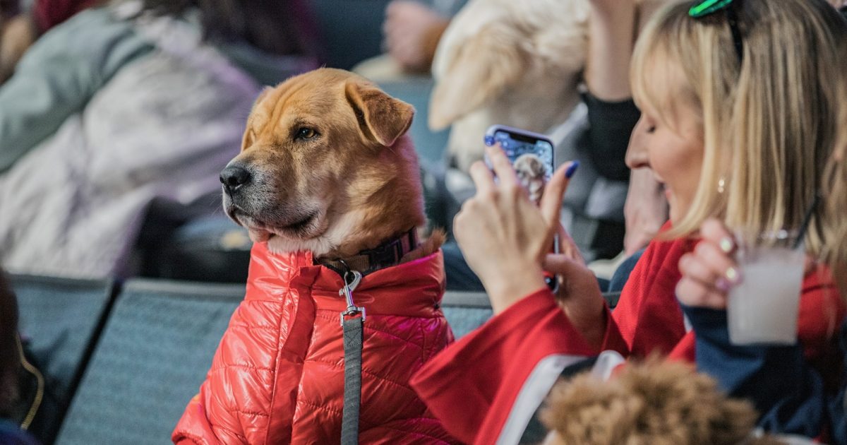 Grand Rapids Griffins | Griffins to Host Jake Engel Memorial Dog Game